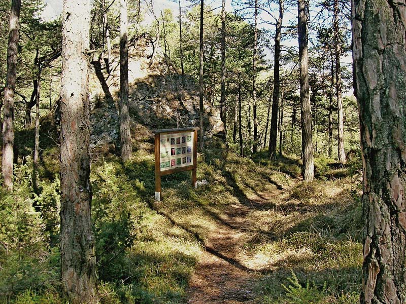 Geoweg Haiming Forchet | Naturpark Ötztal